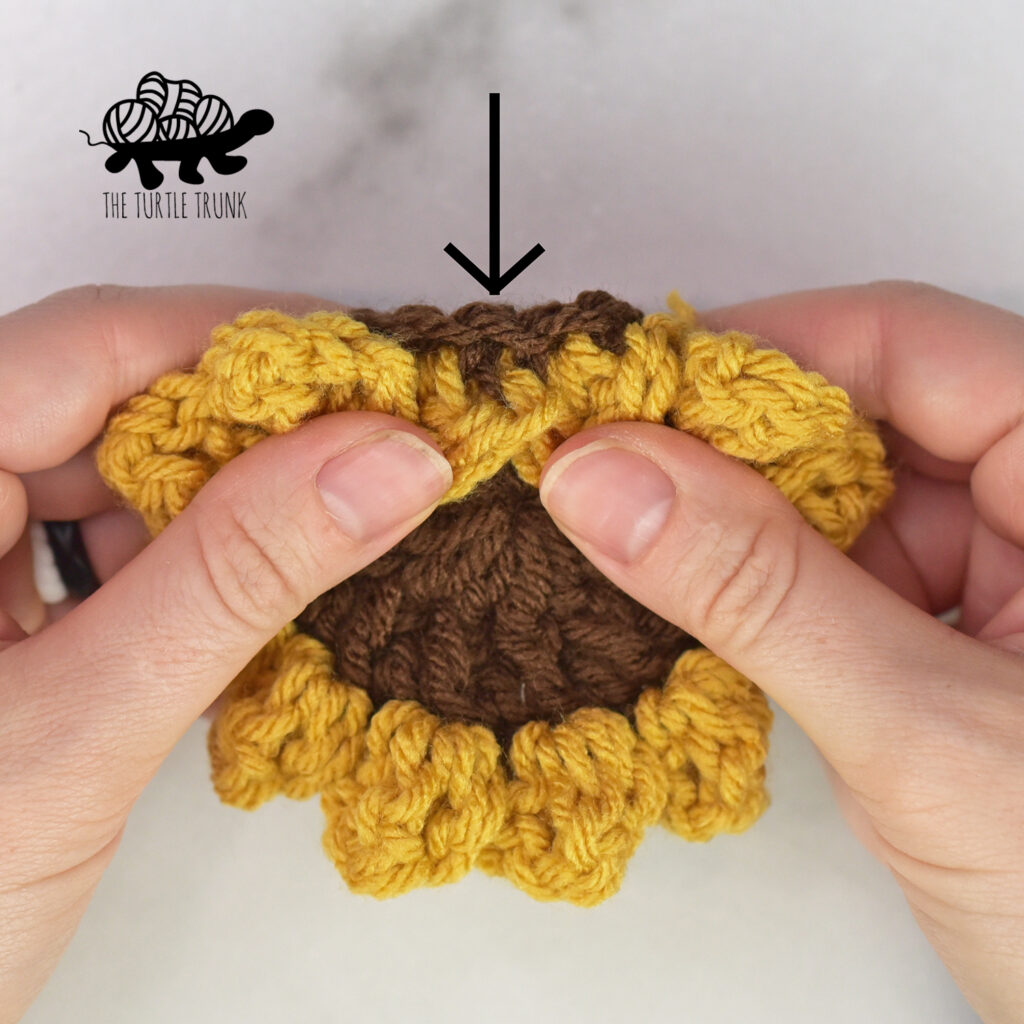 Sunflower Square - Free Crochet Pattern - The Turtle Trunk