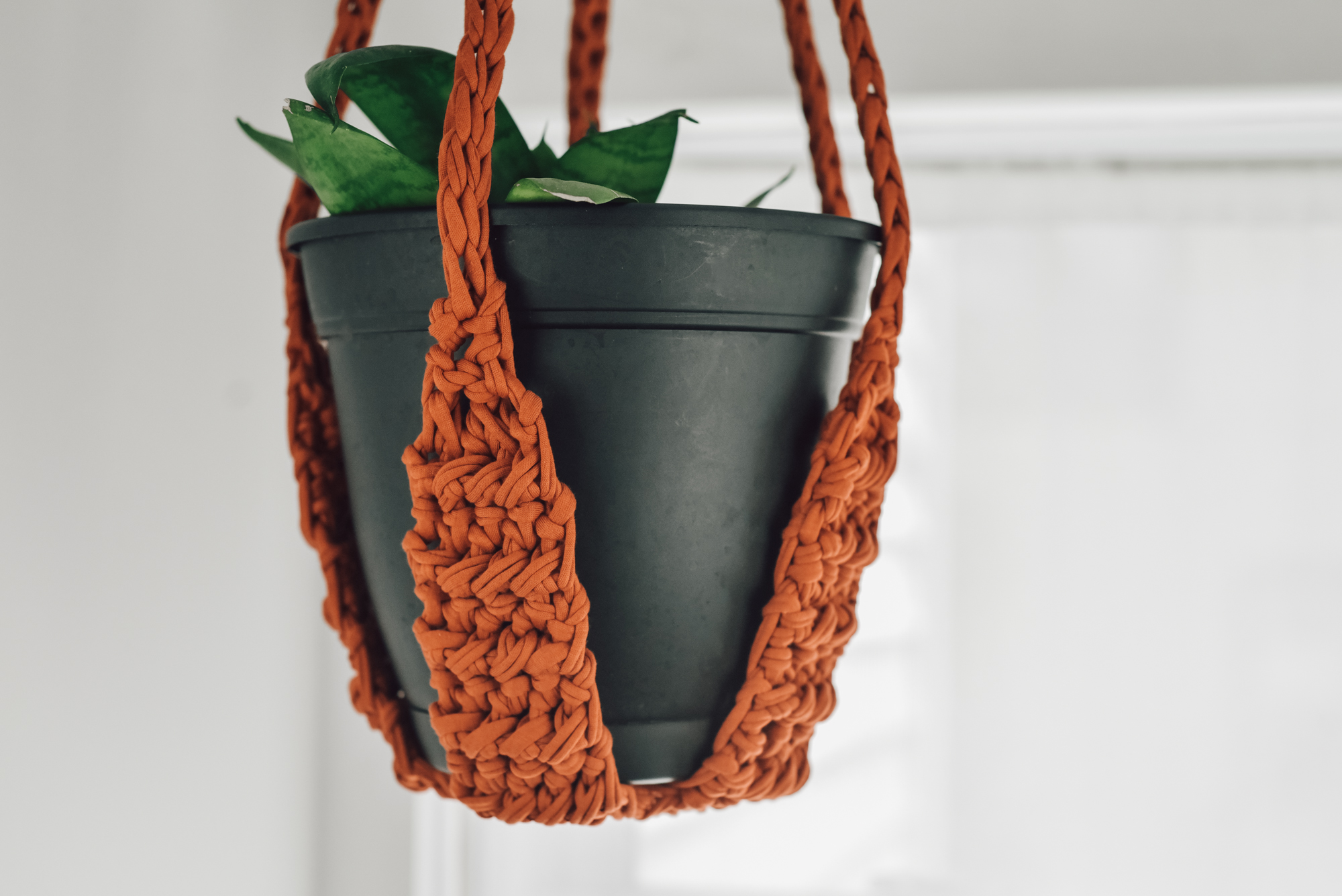 Easy Plant Hanger - Free Crochet Pattern - The Turtle Trunk